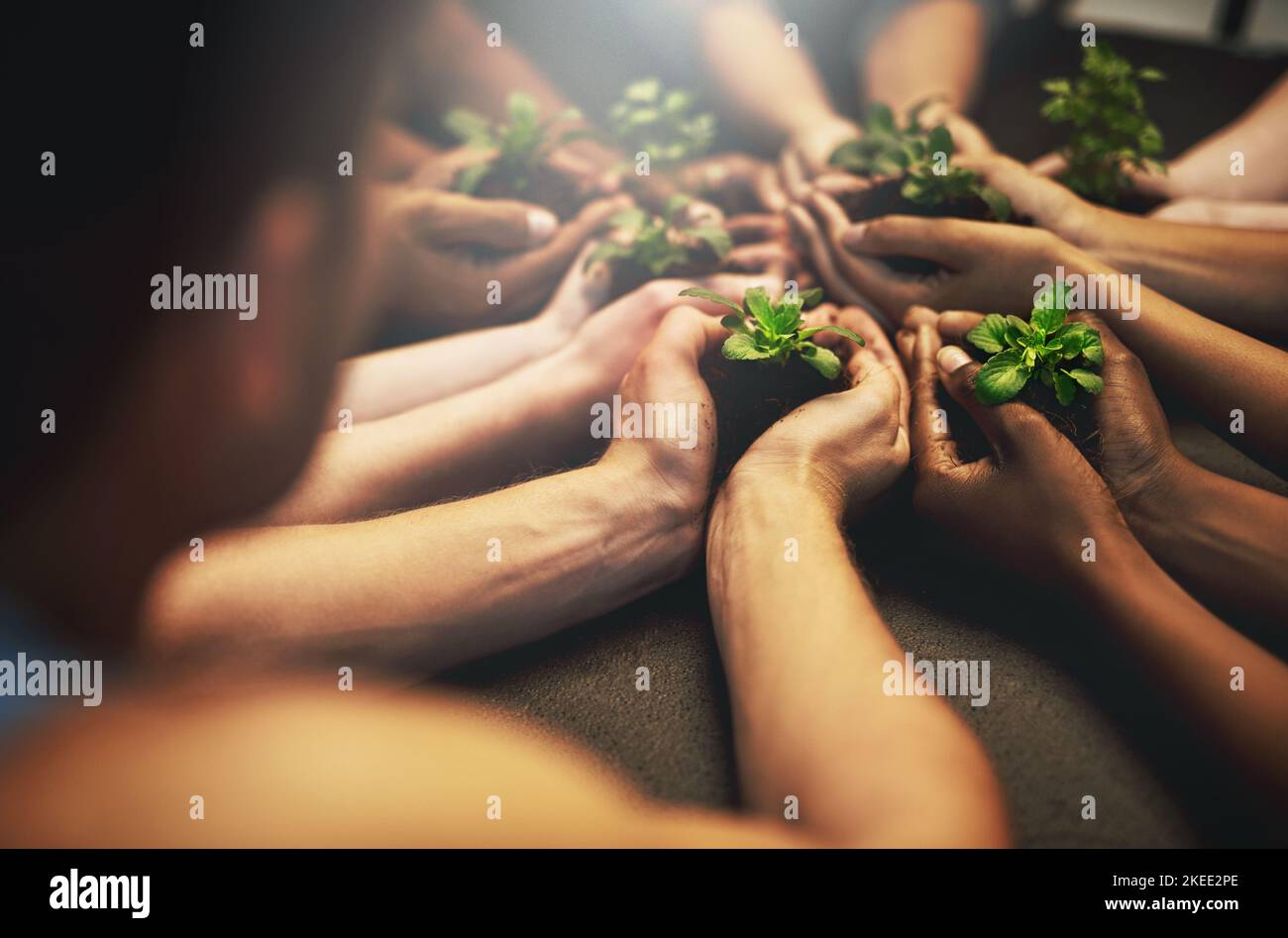 Get together and grow something beautiful. a group of people holding ...