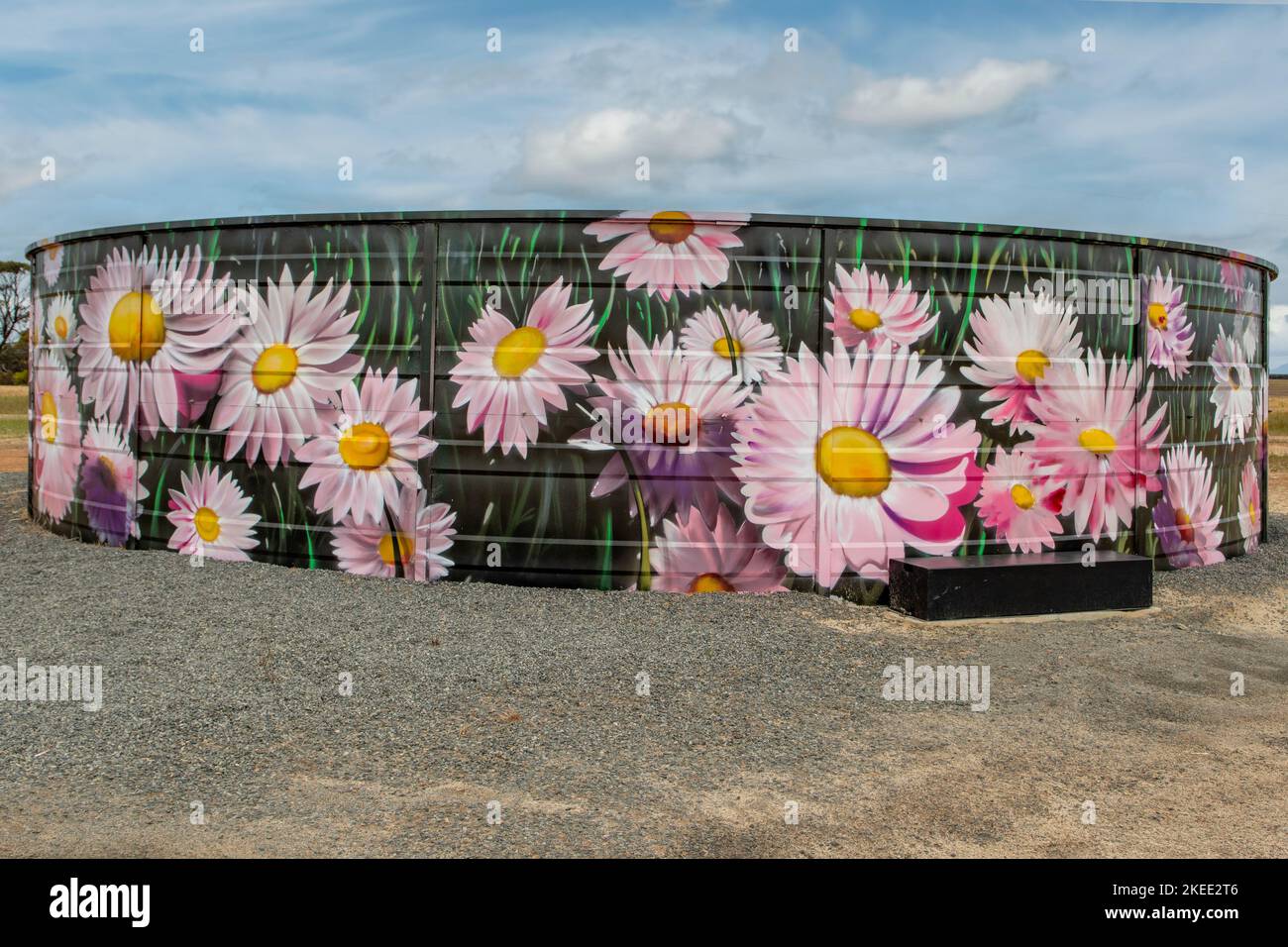 Everlastings Water Tank Art, Gnowangerup, WA, Australia Stock Photo - Alamy