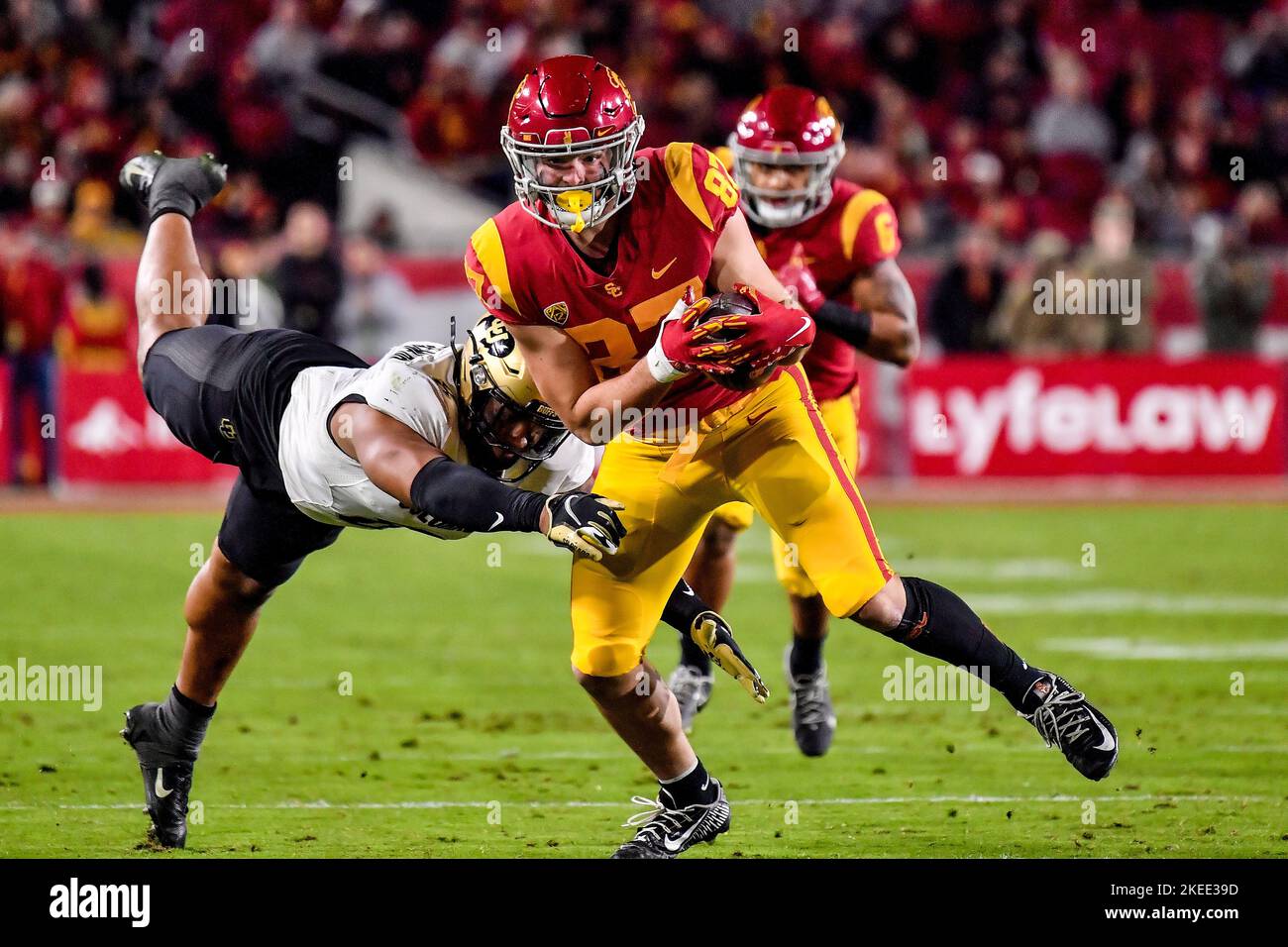 20221111 hi-res stock photography and images - Alamy