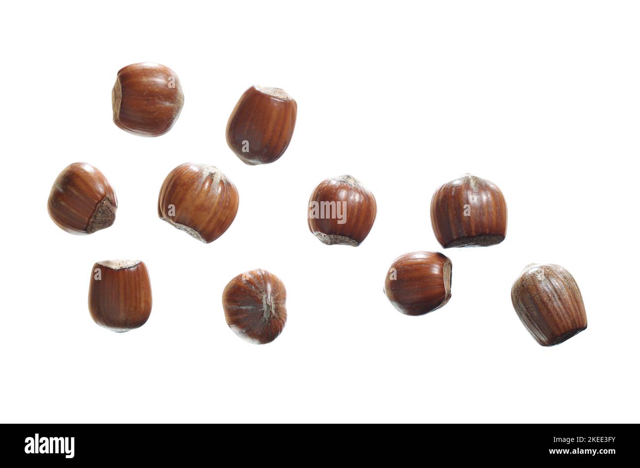 Filberts in shell isolated on a white background, top view Stock Photo ...
