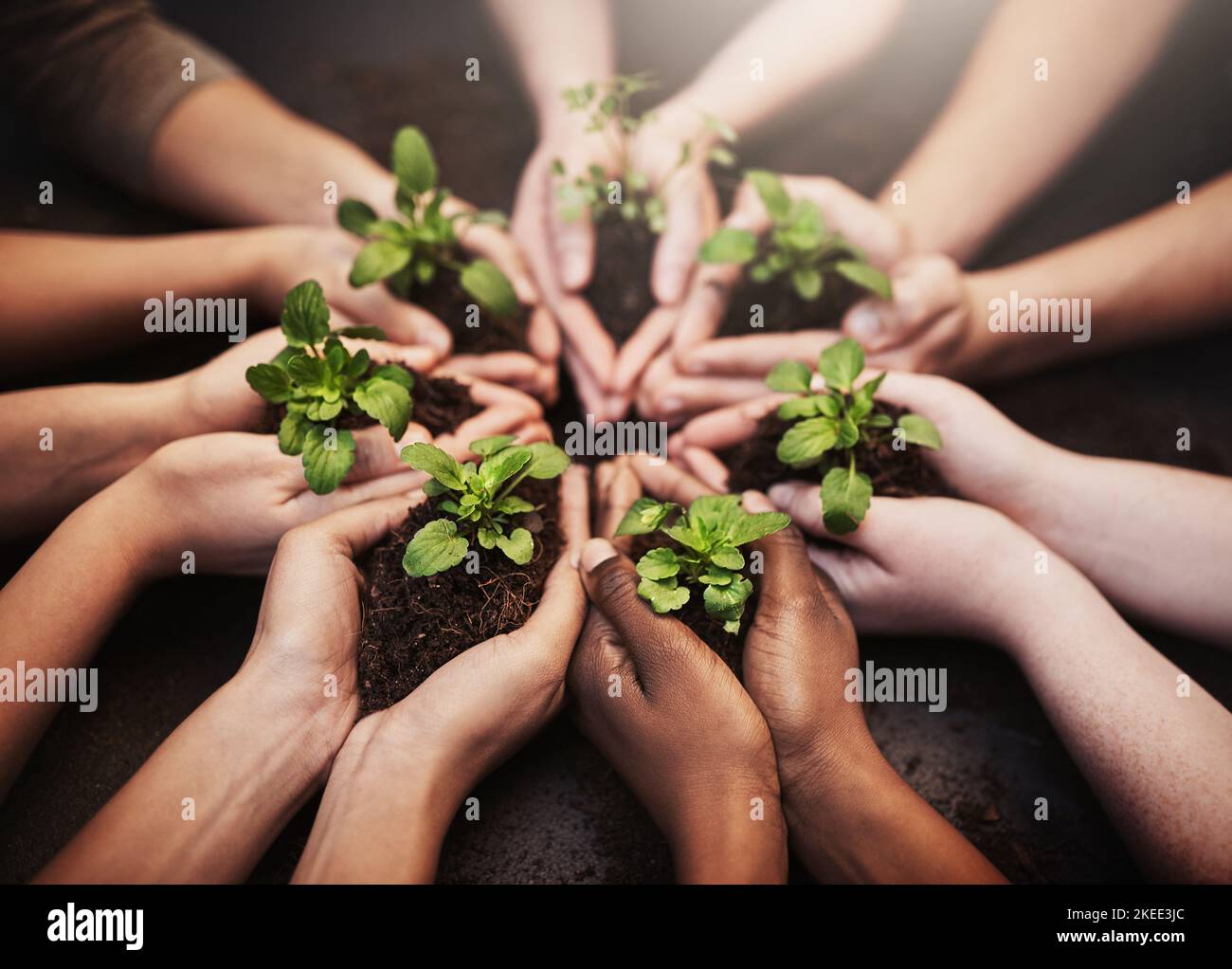 Nature needs to be nurtured. High angle shot of a group of ...