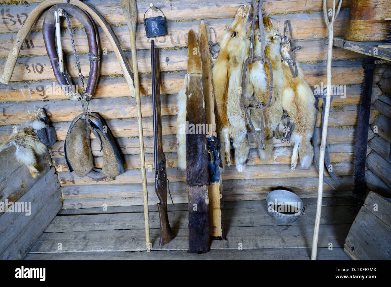 The interior of a wooden barn built in 1912 in a Siberian village Stock ...