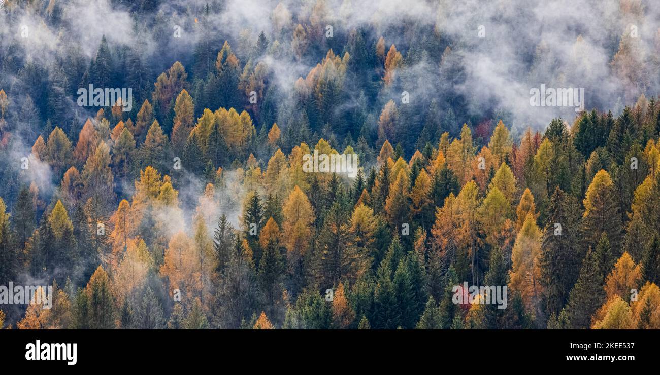 Low clouds hang between the mountains and forests with the autumn ...