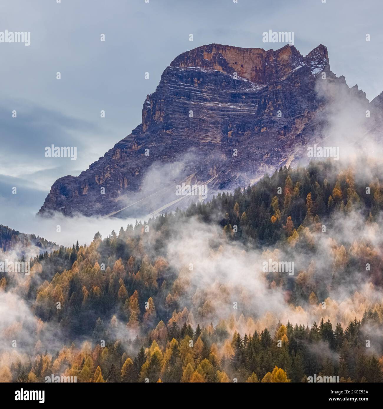 Low clouds hang between the mountains and forests with the autumn ...