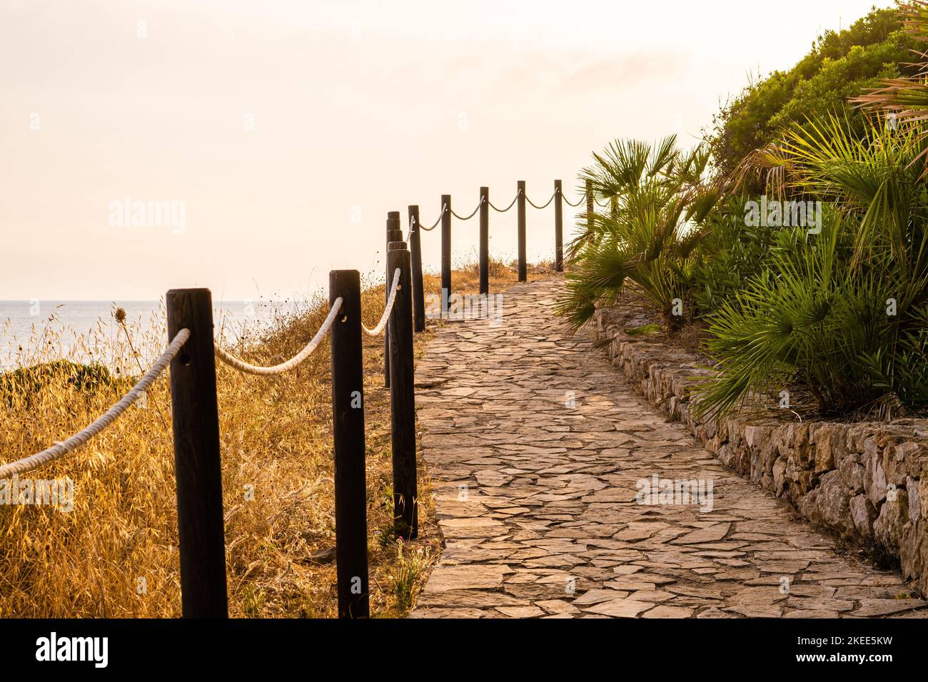 A rope chain fence for a small pathway with grasses around Stock Photo ...