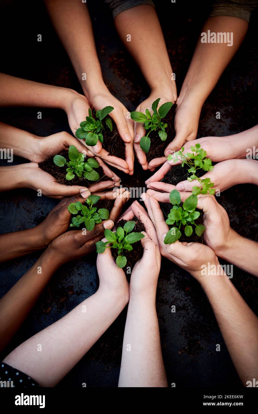 Beautiful things came from humble beginnings. a group of people holding ...