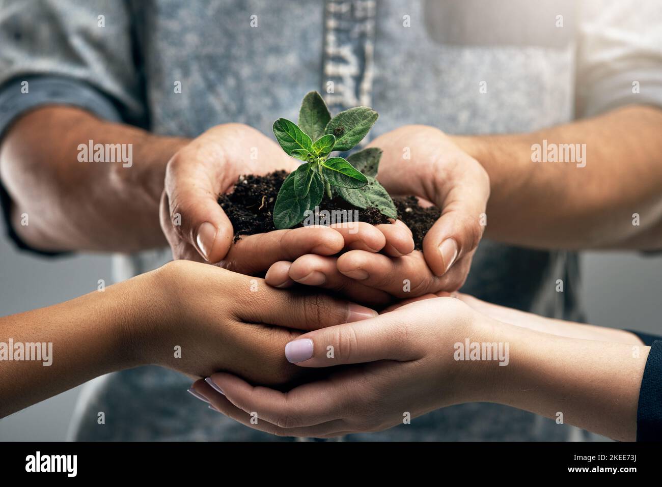 We all need to help each other grow. a group of unidentifiable people ...