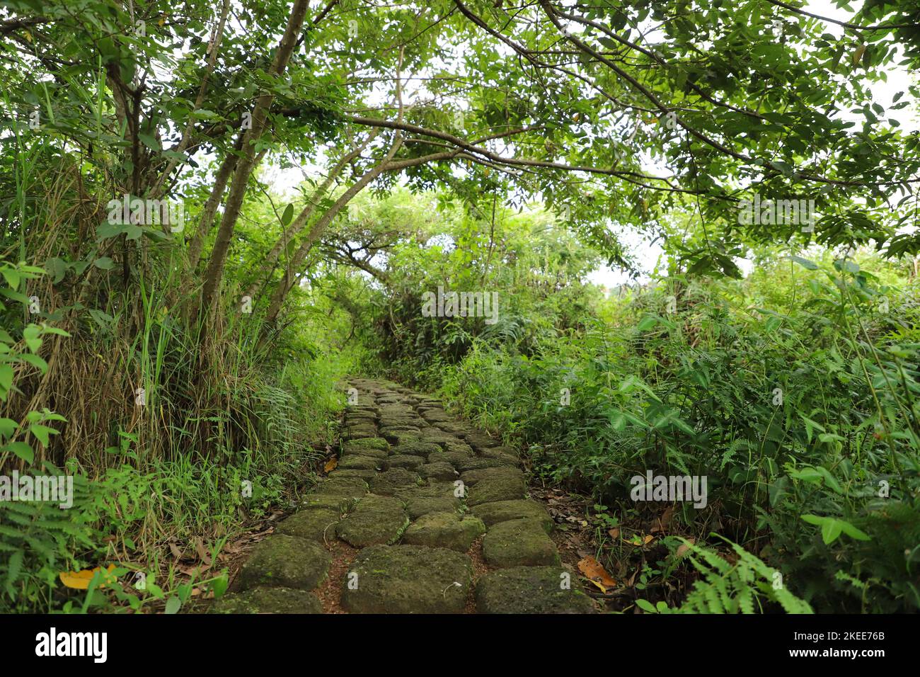 Kigali. 11th Nov, 2022. This photo taken on Nov. 11, 2022 shows a ...