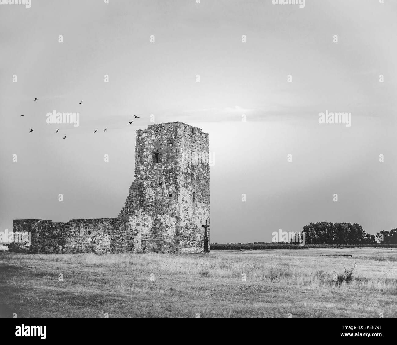 Grass medieval Black and White Stock Photos & Images - Alamy