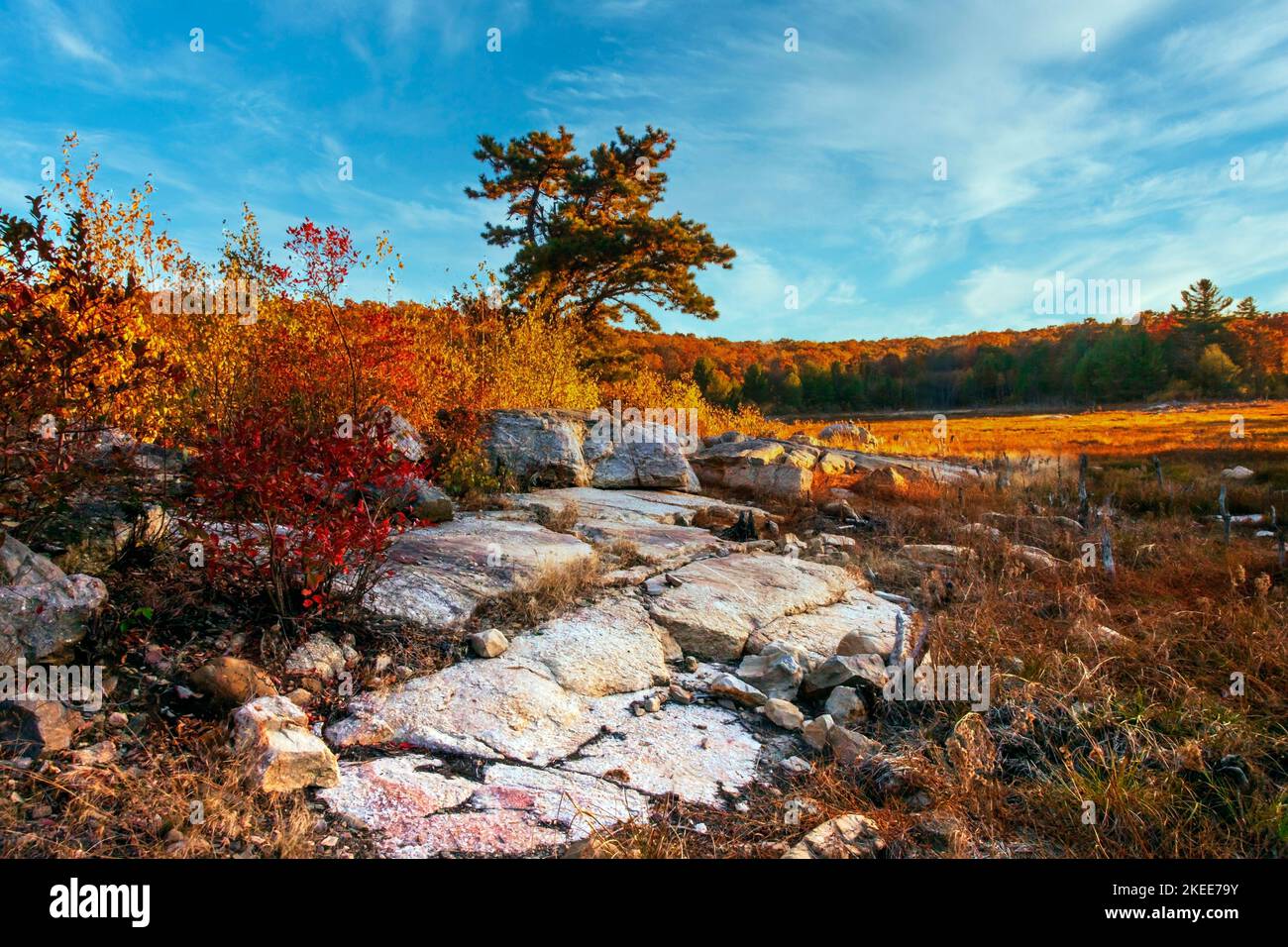 The lake bed of the former artificial impoundment Lower Lake Success in ...