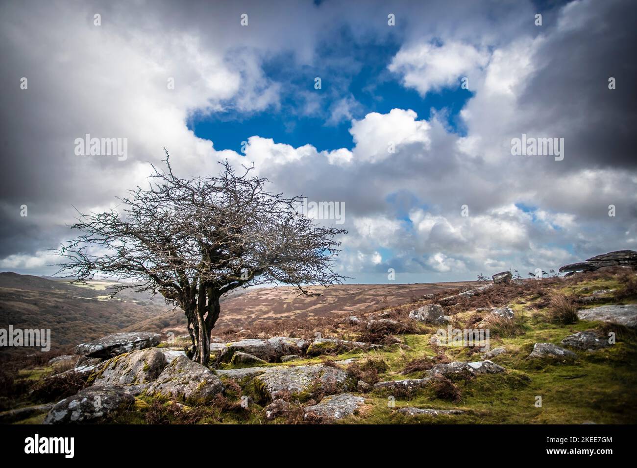 Combestone Tor, Dartmoor National Park, Devon, UK Stock Photo - Alamy