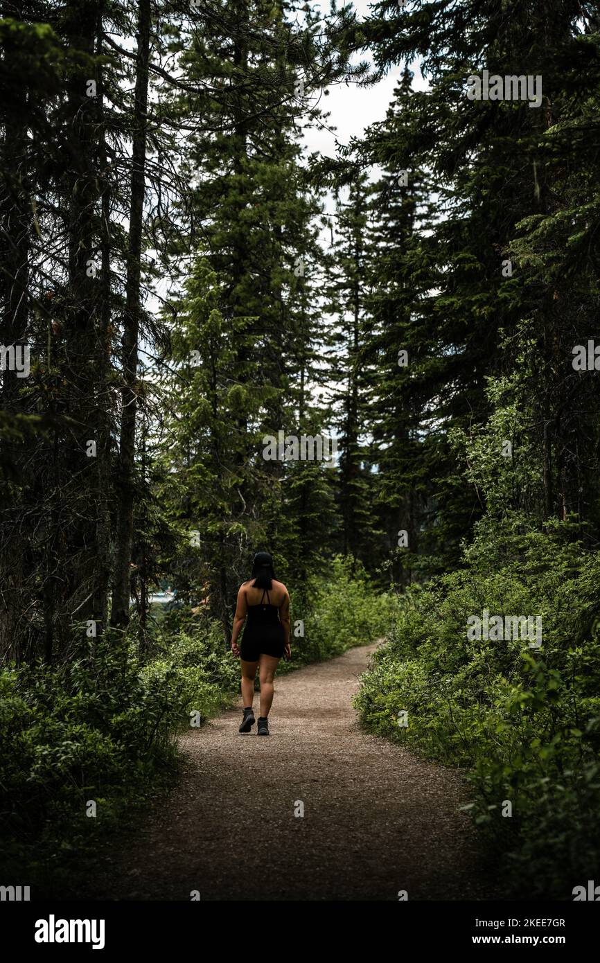 A back view of a girl in black walking on path through lush green trees ...