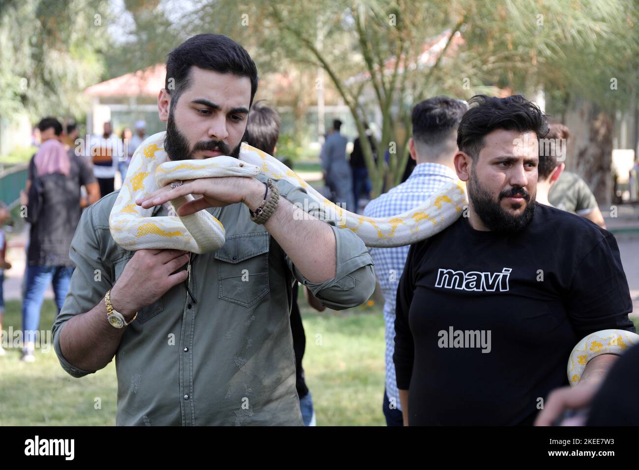 Baghdad, Iraq. 11th Nov, 2022. Reptile lovers display non-venomous ...