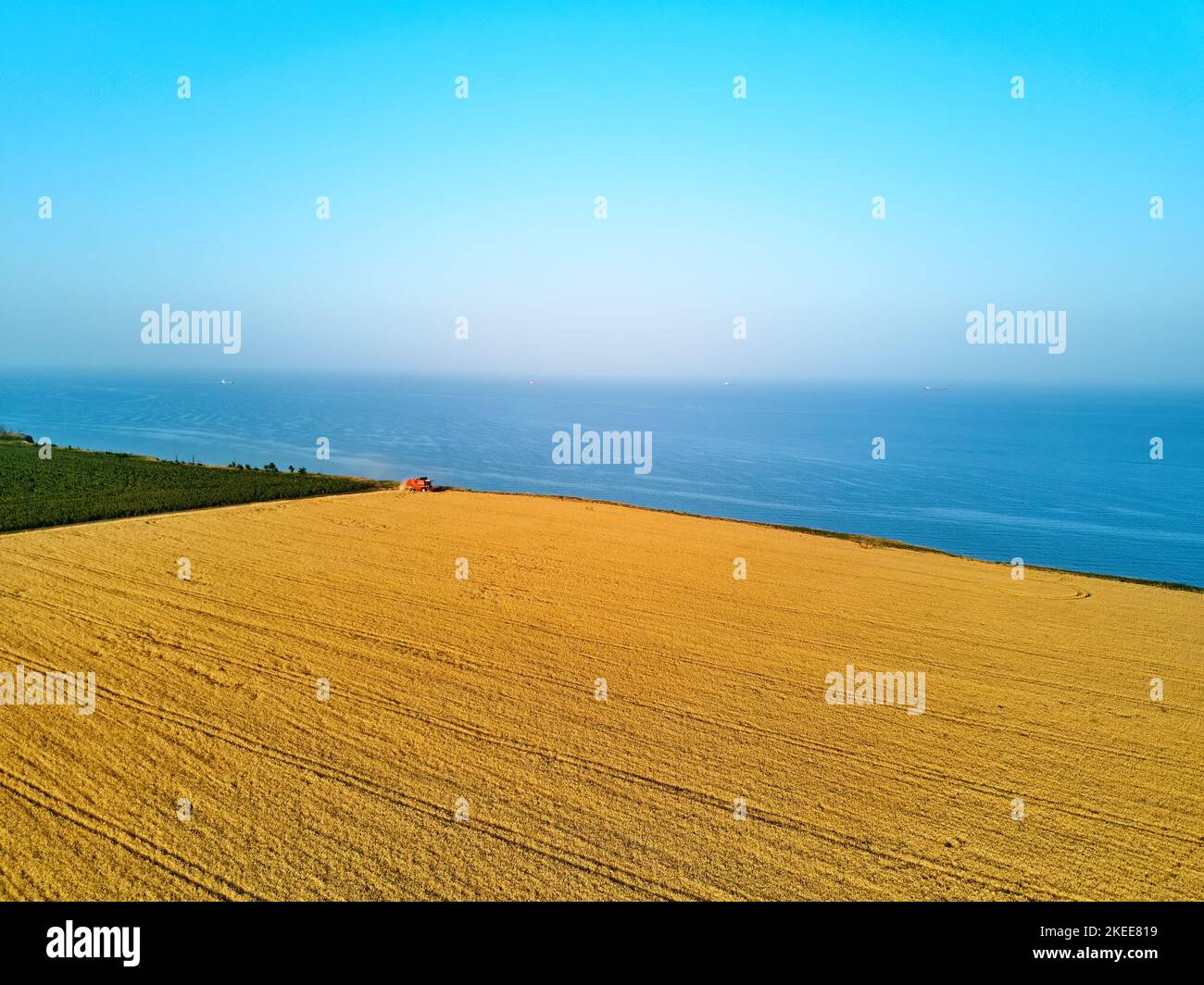 Aerial of red combine harvester working in wheat field near cliff with ...