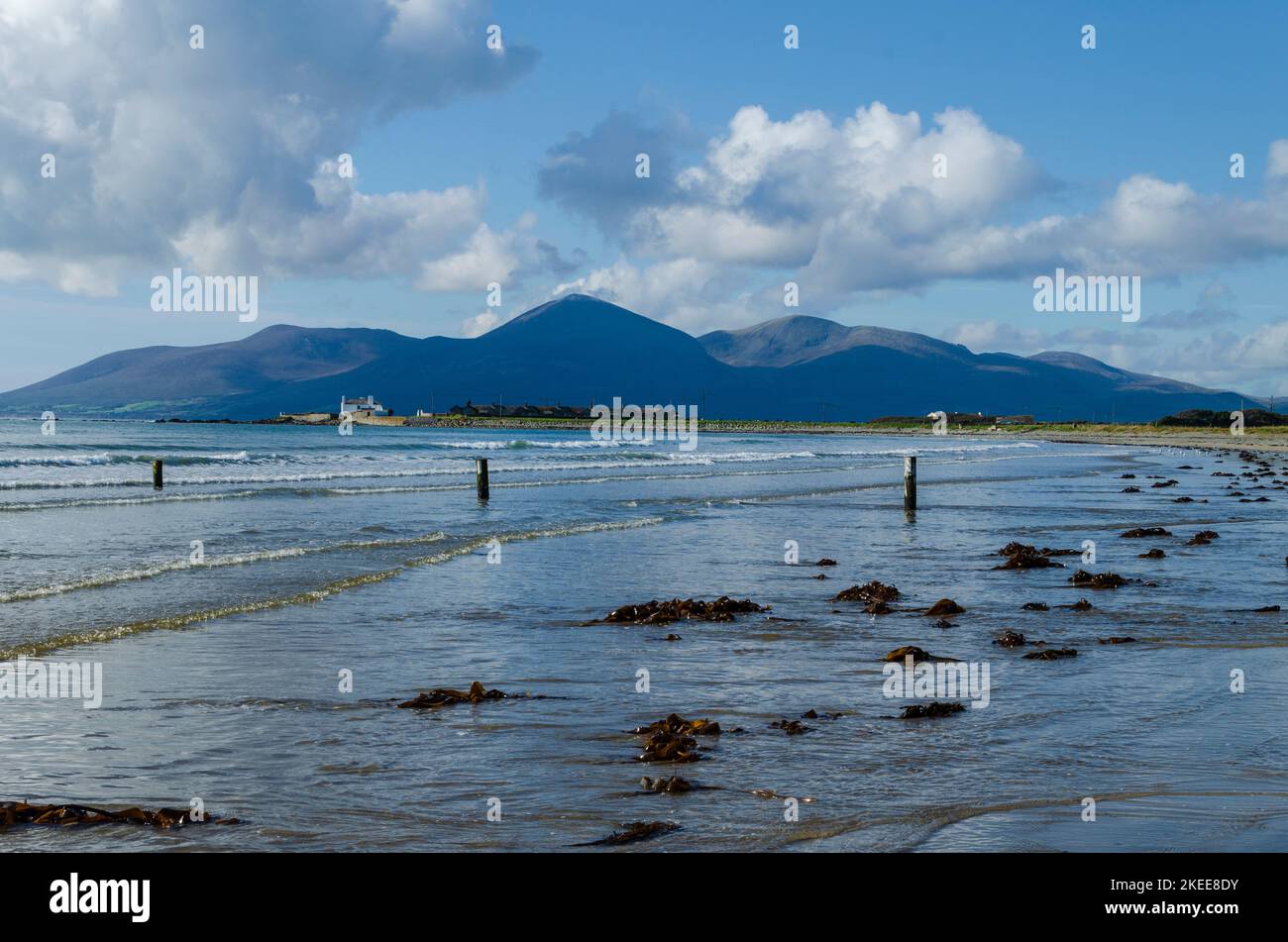 the Mourne mountains looking from the Blue Flag Tyrella beach Stock ...
