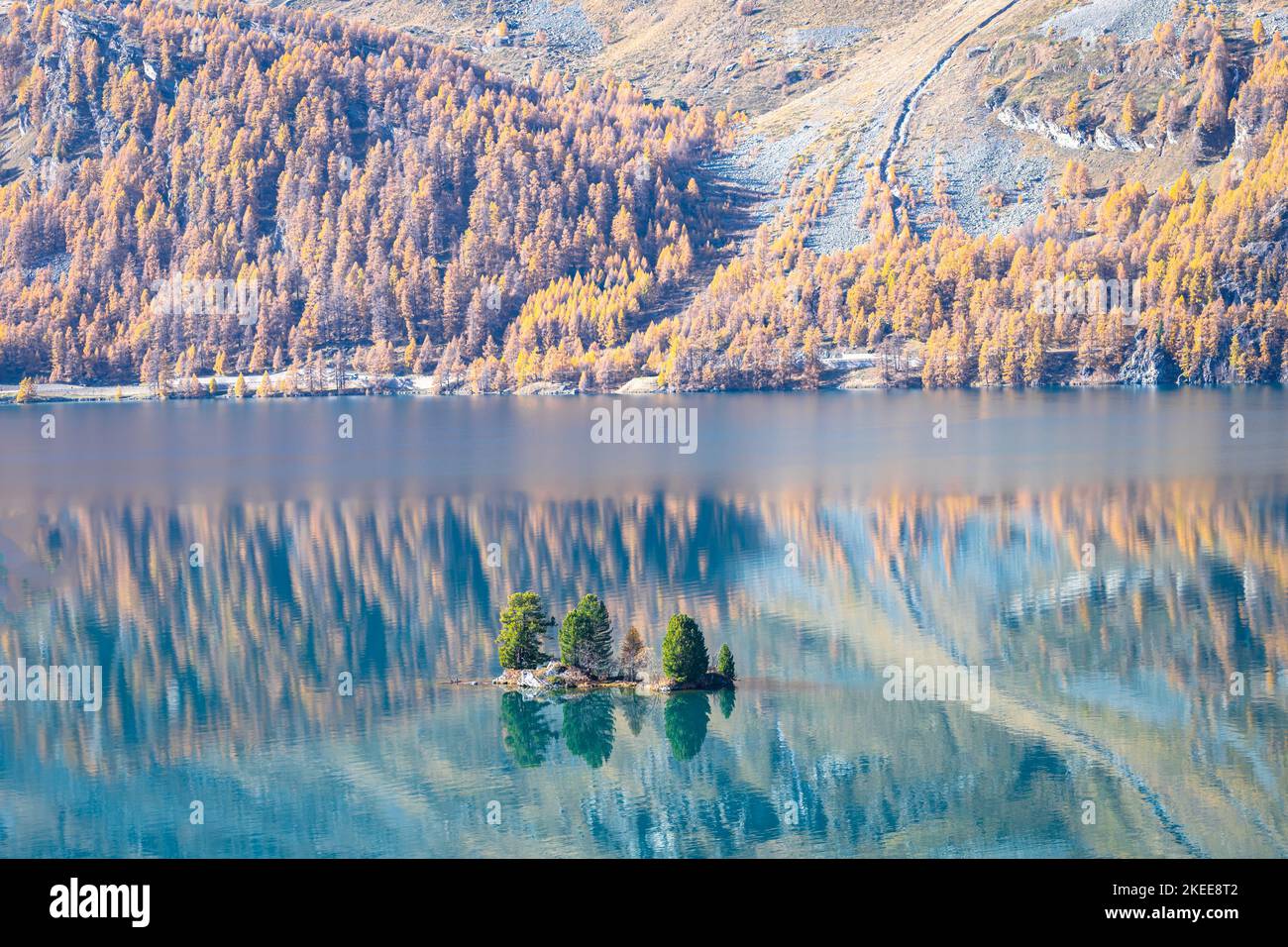 Small island in Lake Sils, Switzerland which is surrounded by golden ...