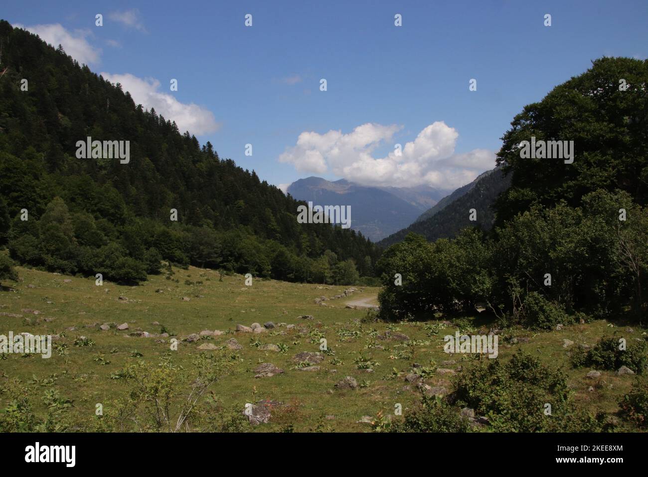 A high-angle of Aran valley with forested, misty, sunlit Pyrenees ...