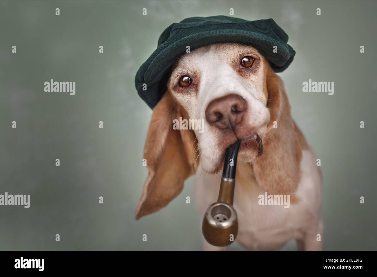 1 pipe gun hi-res stock photography and images - Alamy