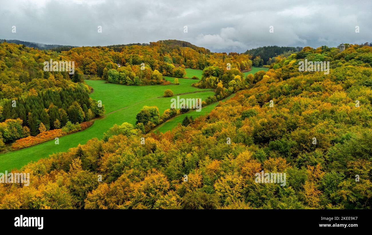 Small autumn walk through the beautiful park landscape near Bad ...