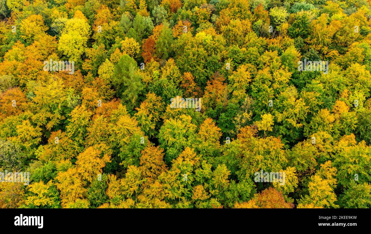 Small autumn walk through the beautiful park landscape near Bad ...
