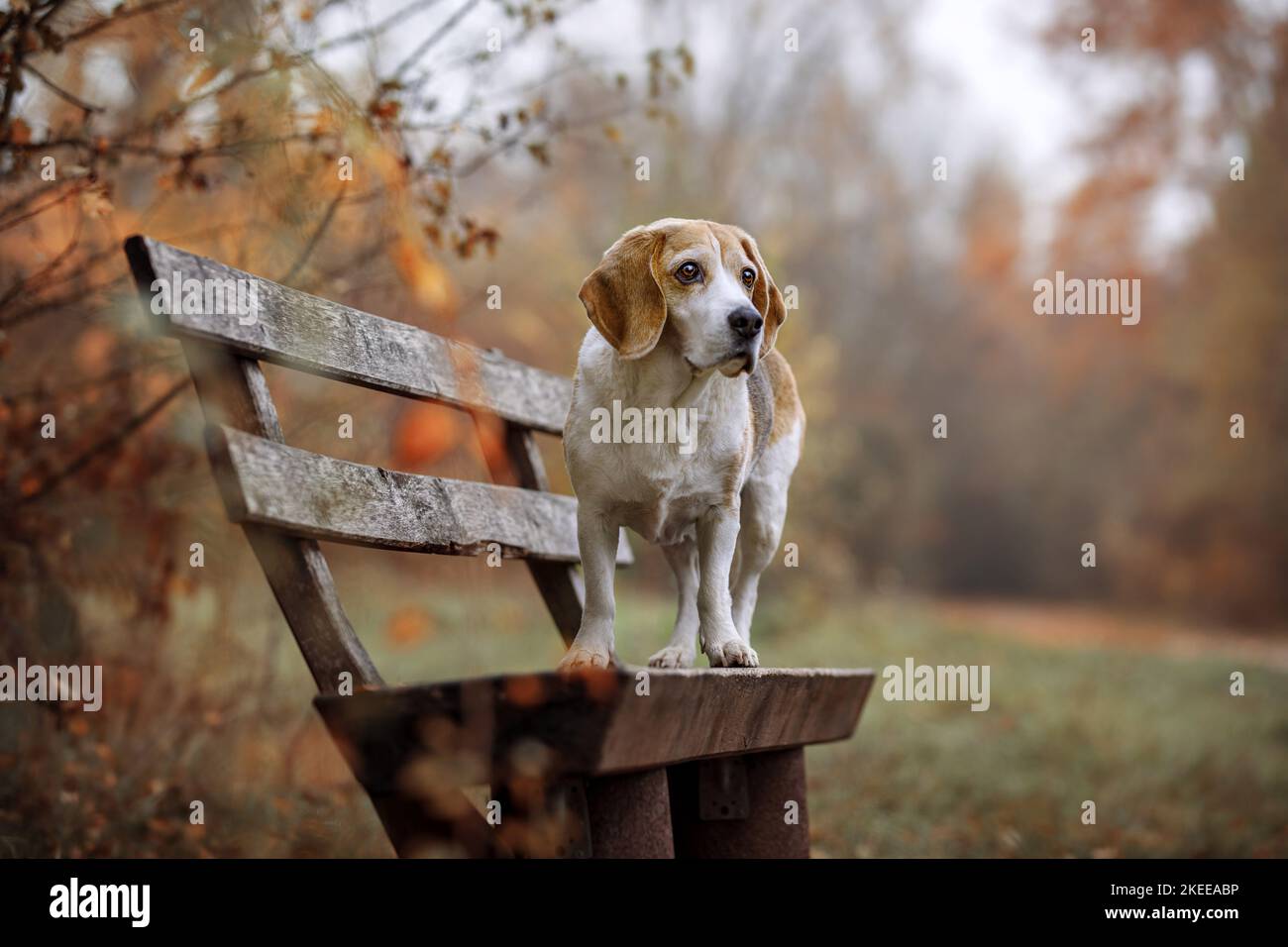 Stands standing bench benches hi-res stock photography and images - Alamy