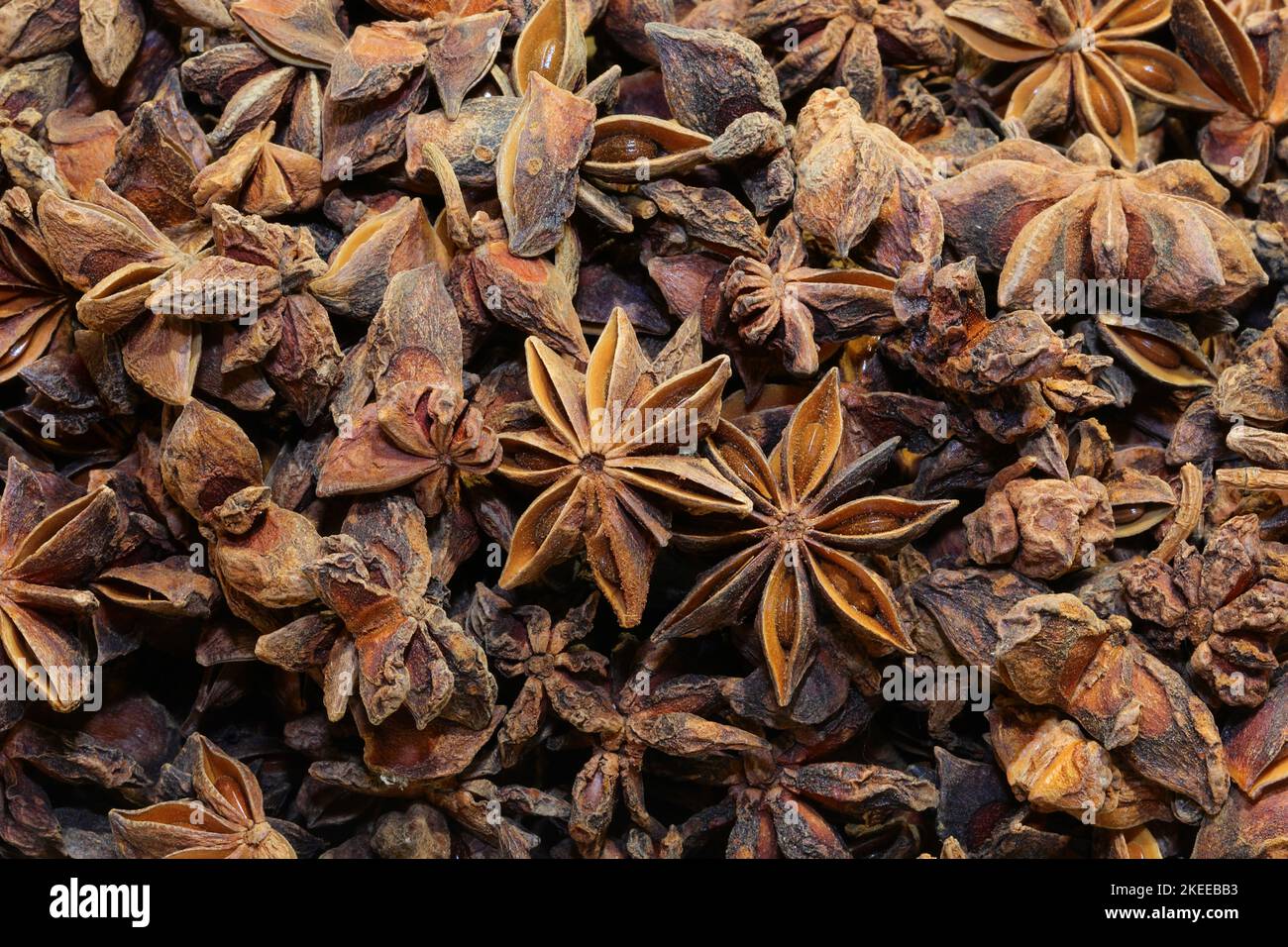 background of stars of ANISE Star for dishes or to Christmas ...