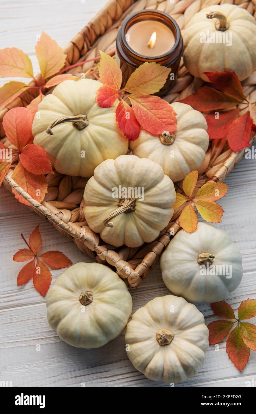 Thanksgiving season still life with small pumpkins and fall leaves over ...