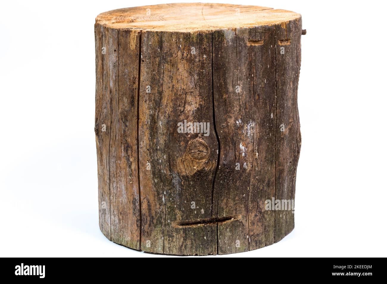 Wood stump log isolated on a white background Stock Photo - Alamy