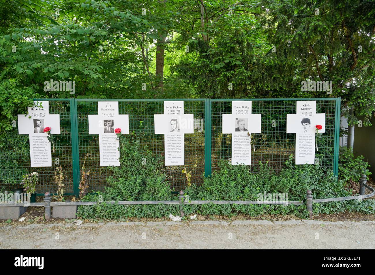 Mauertote hi-res stock photography and images - Alamy