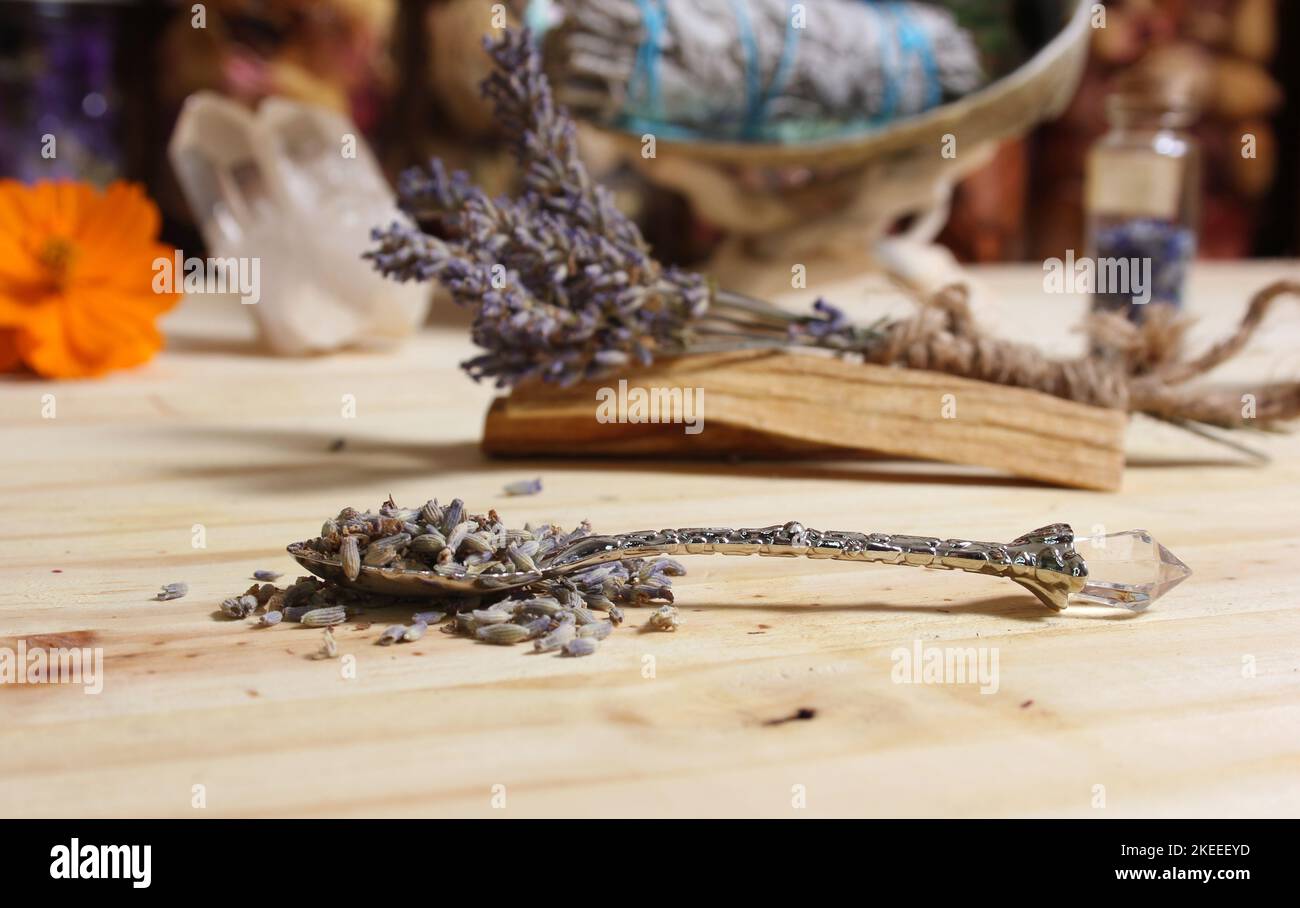 Dried Lavender With Palo Santo Wood and Abalone Shell For Smudging ...