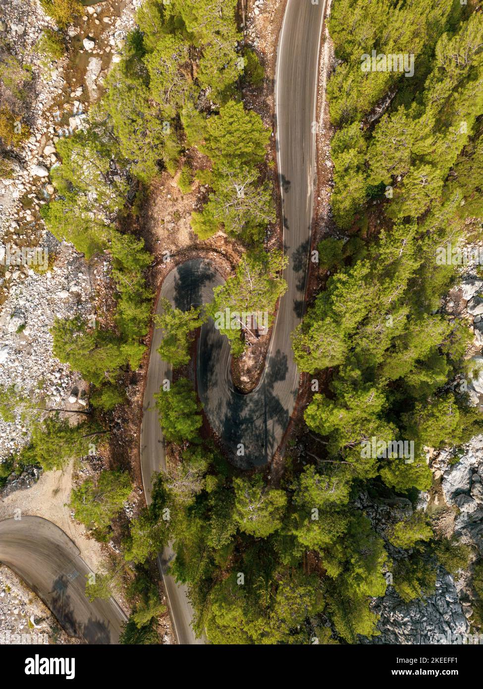 Forest road view hi-res stock photography and images - Alamy