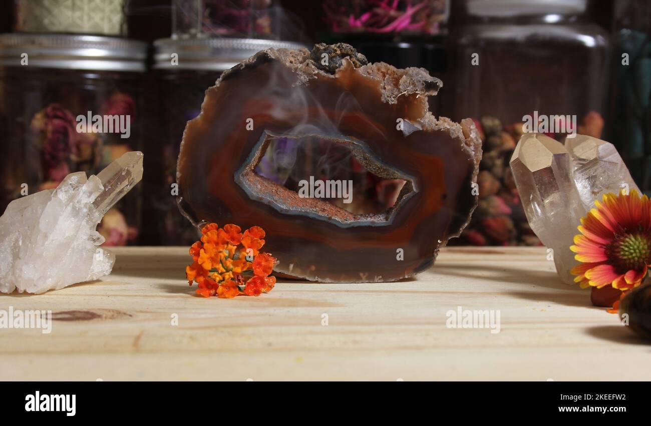 Agatized Coral With Quartz Crystals and Flowers on Meditation Altar ...