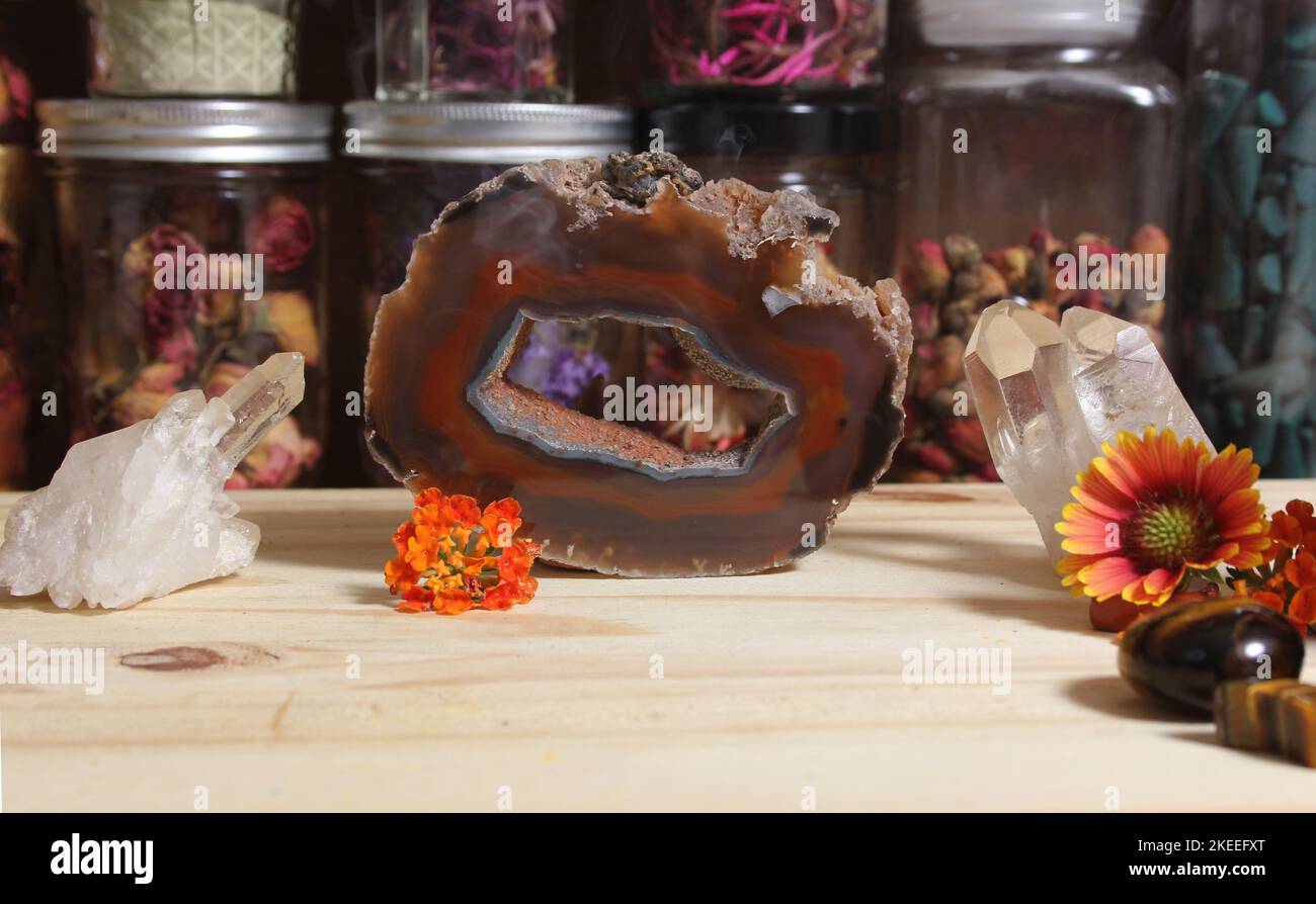 Agatized Coral With Quartz Crystals and Flowers on Meditation Altar ...