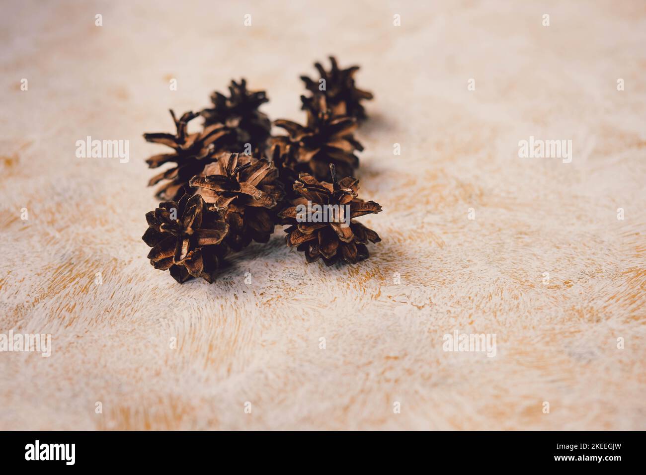 Dried pine cones on yellow background. creative composition with pine ...
