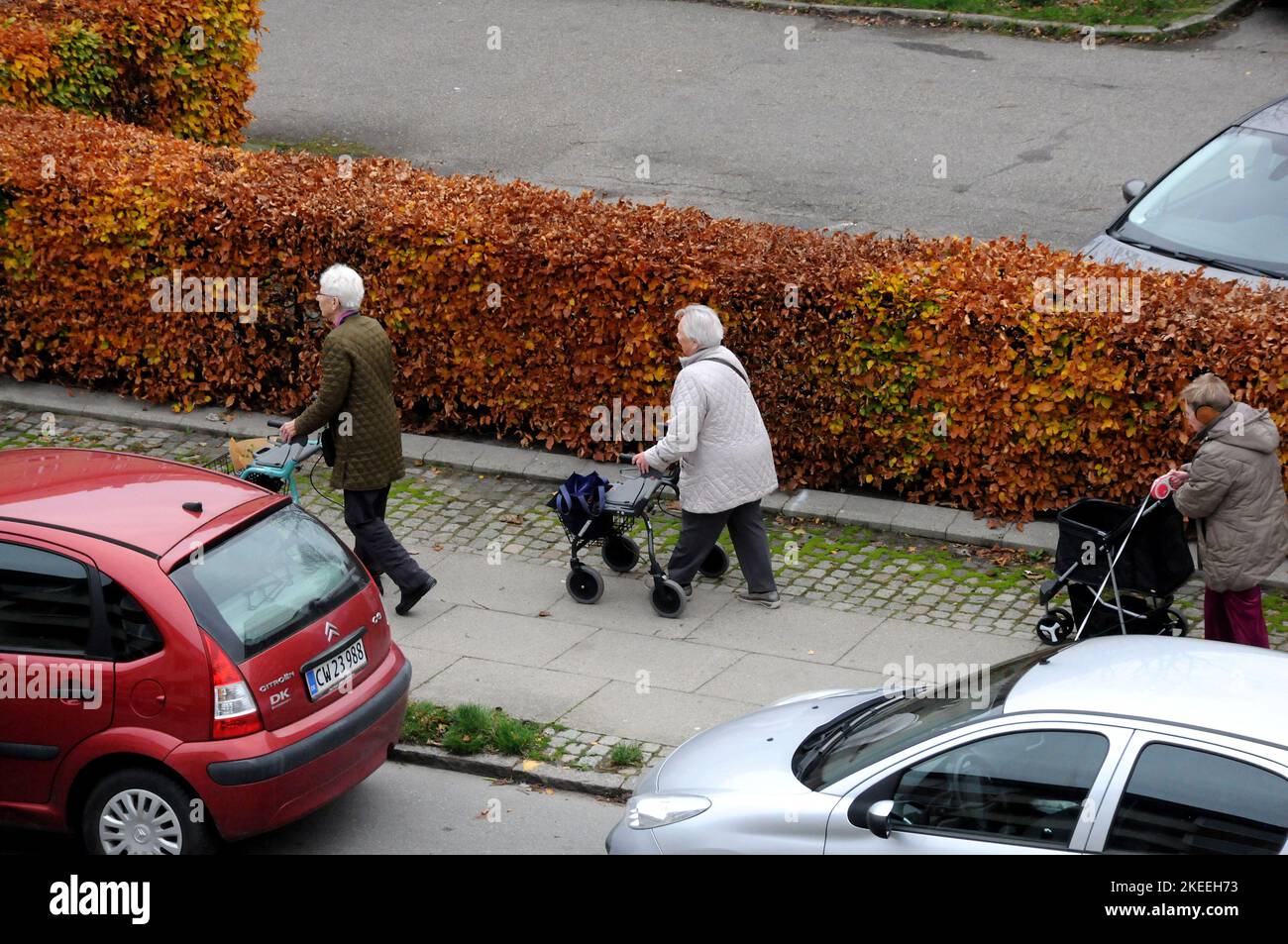 Females with wlker hi-res stock photography and images - Alamy