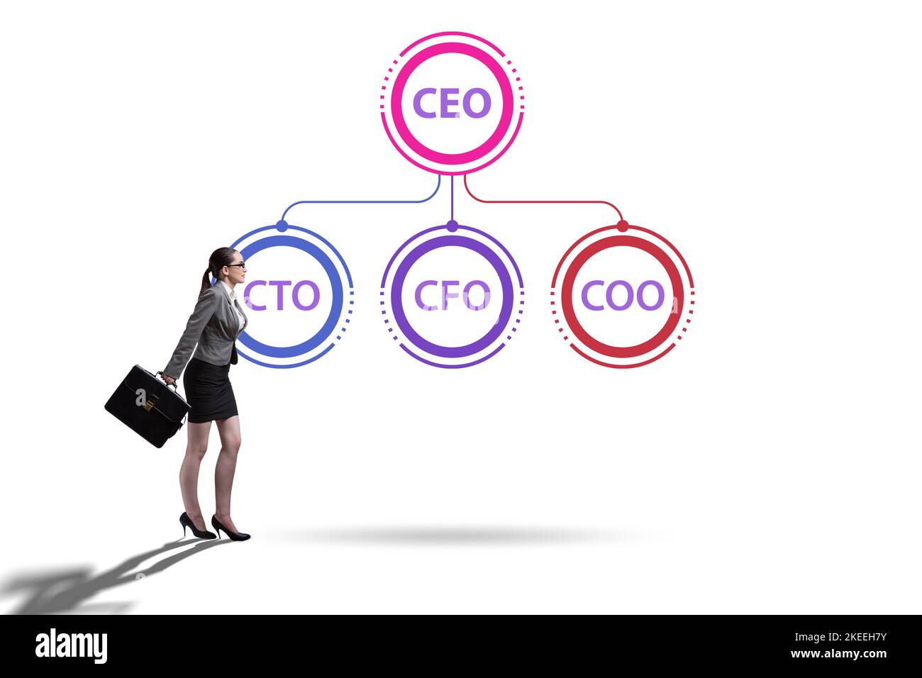 Illustration of organisation chart with the various executives Stock ...
