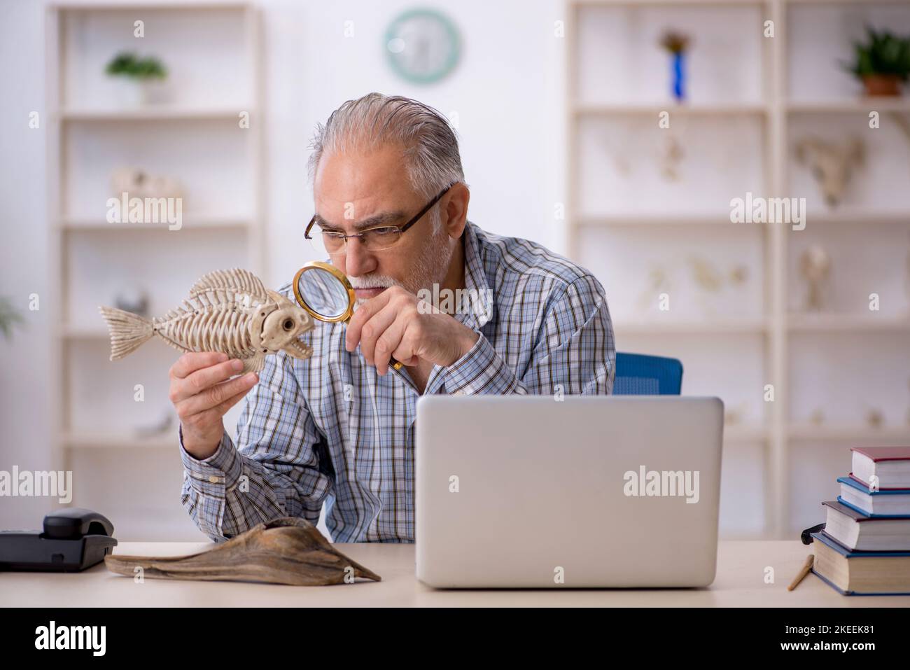 Old paleontologist examining ancient animals at lab Stock Photo - Alamy