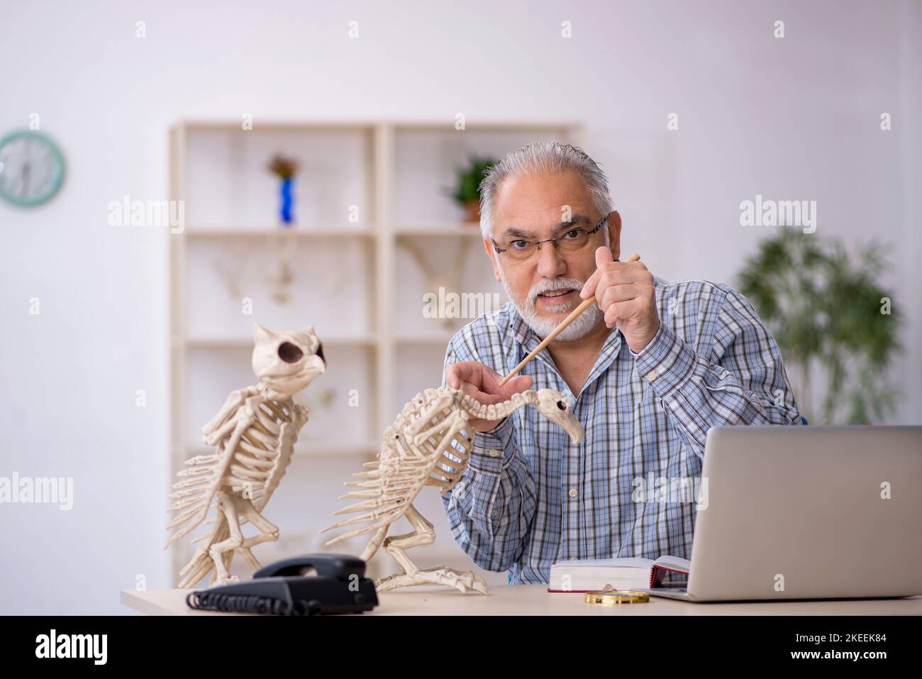 Old paleontologist examining ancient animals at lab Stock Photo - Alamy