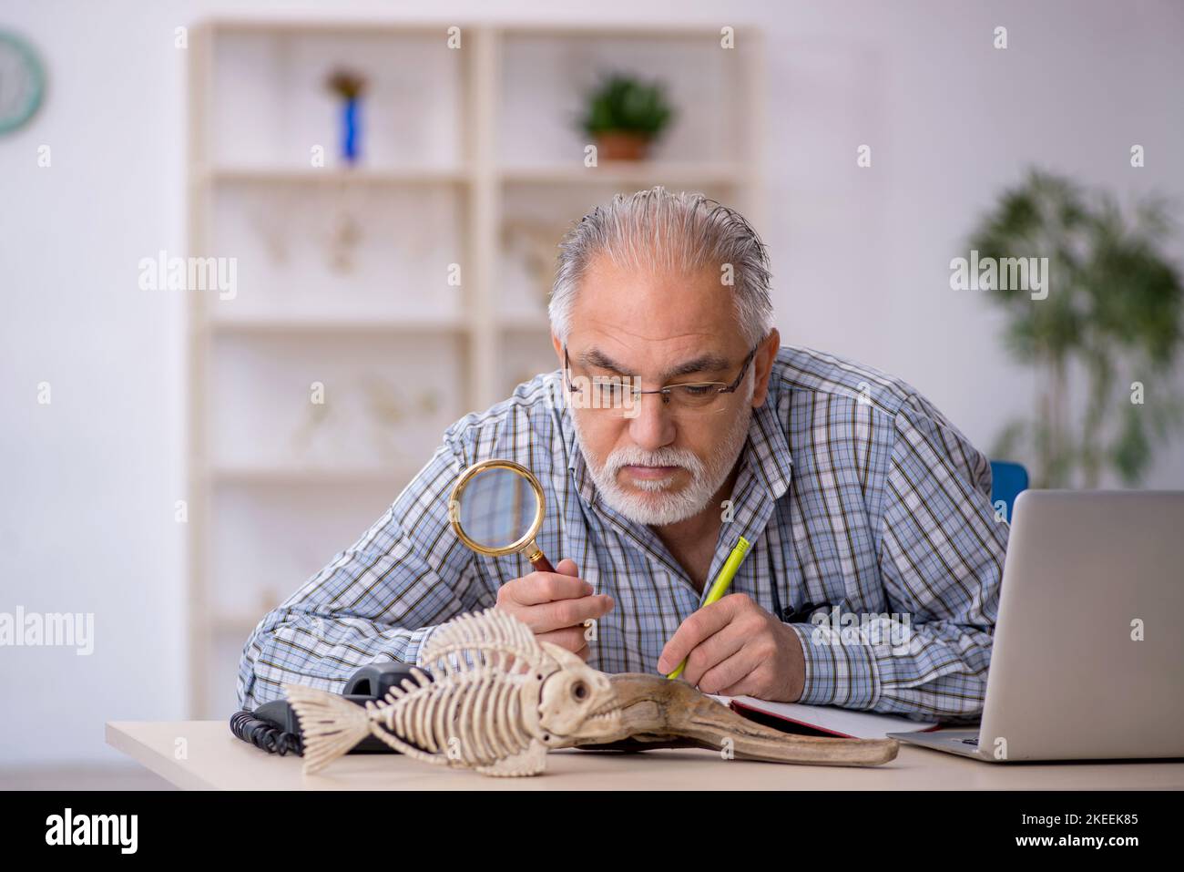 Old paleontologist examining ancient animals at lab Stock Photo - Alamy