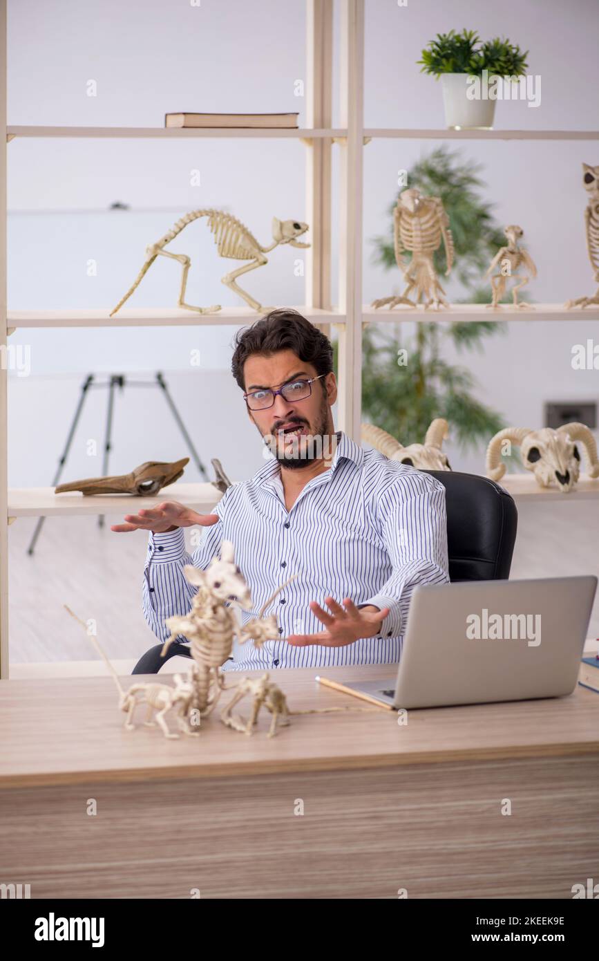 Young paleontologist examining ancient animals at lab Stock Photo - Alamy