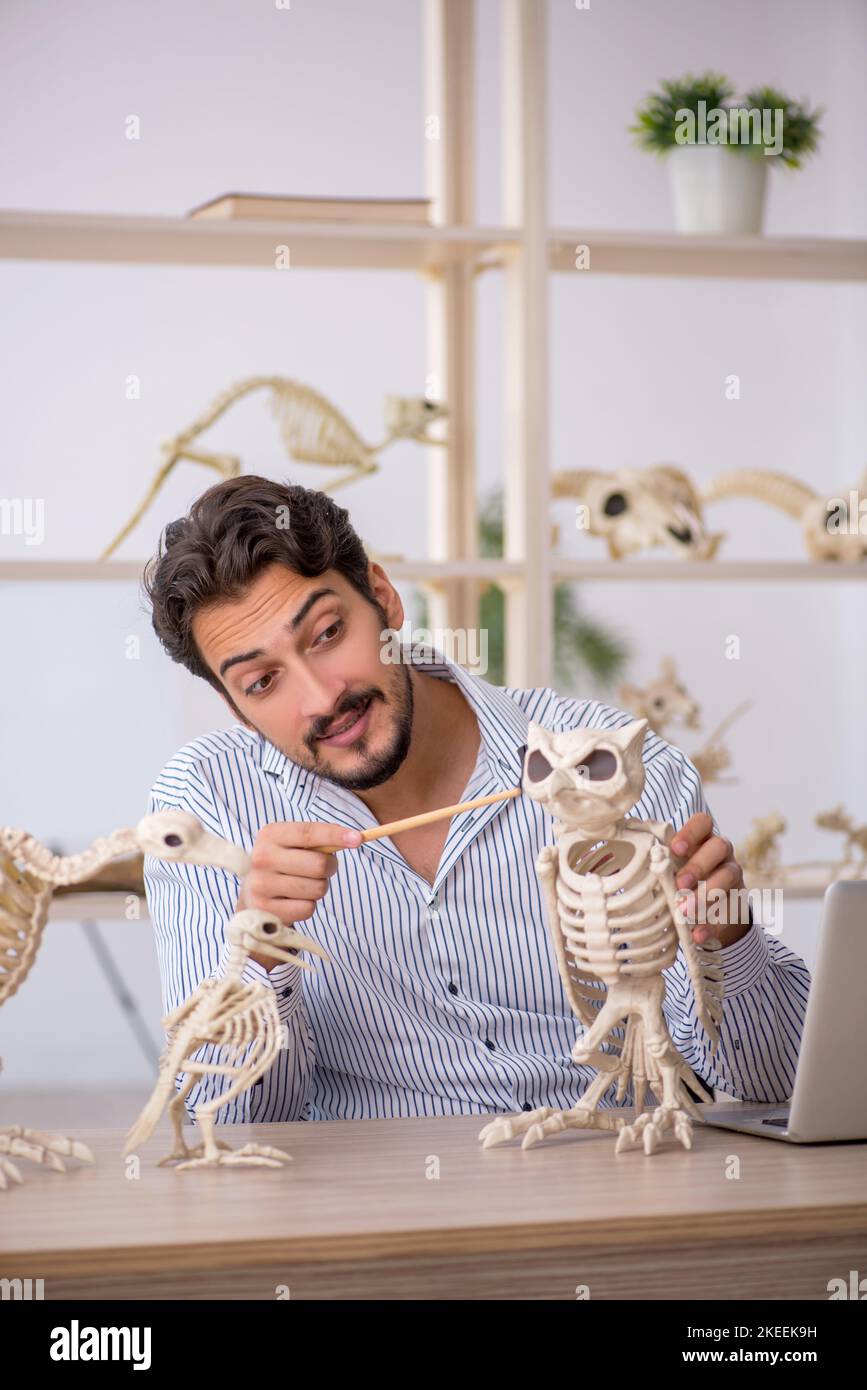 Young paleontologist examining ancient animals at lab Stock Photo - Alamy