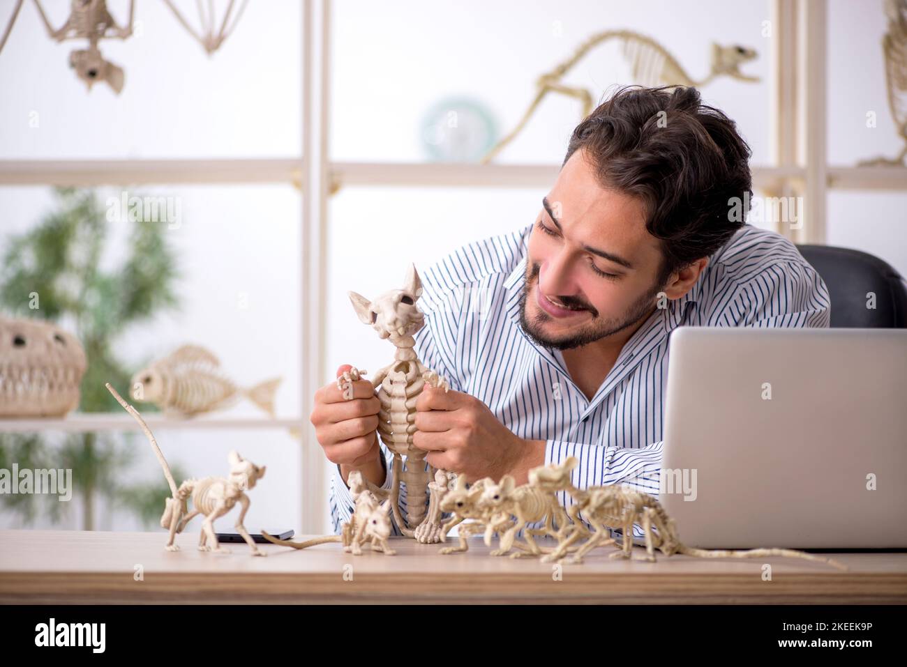 Young paleontologist examining ancient animals at lab Stock Photo - Alamy