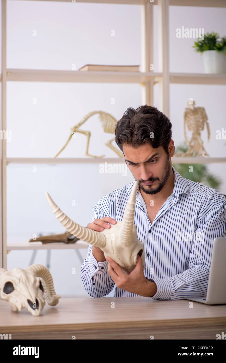 Young paleontologist examining ancient animals at lab Stock Photo - Alamy