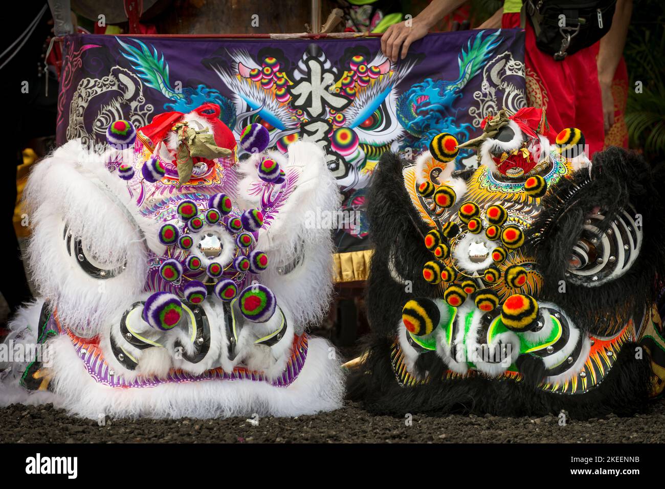 Lion puppet hi-res stock photography and images - Alamy