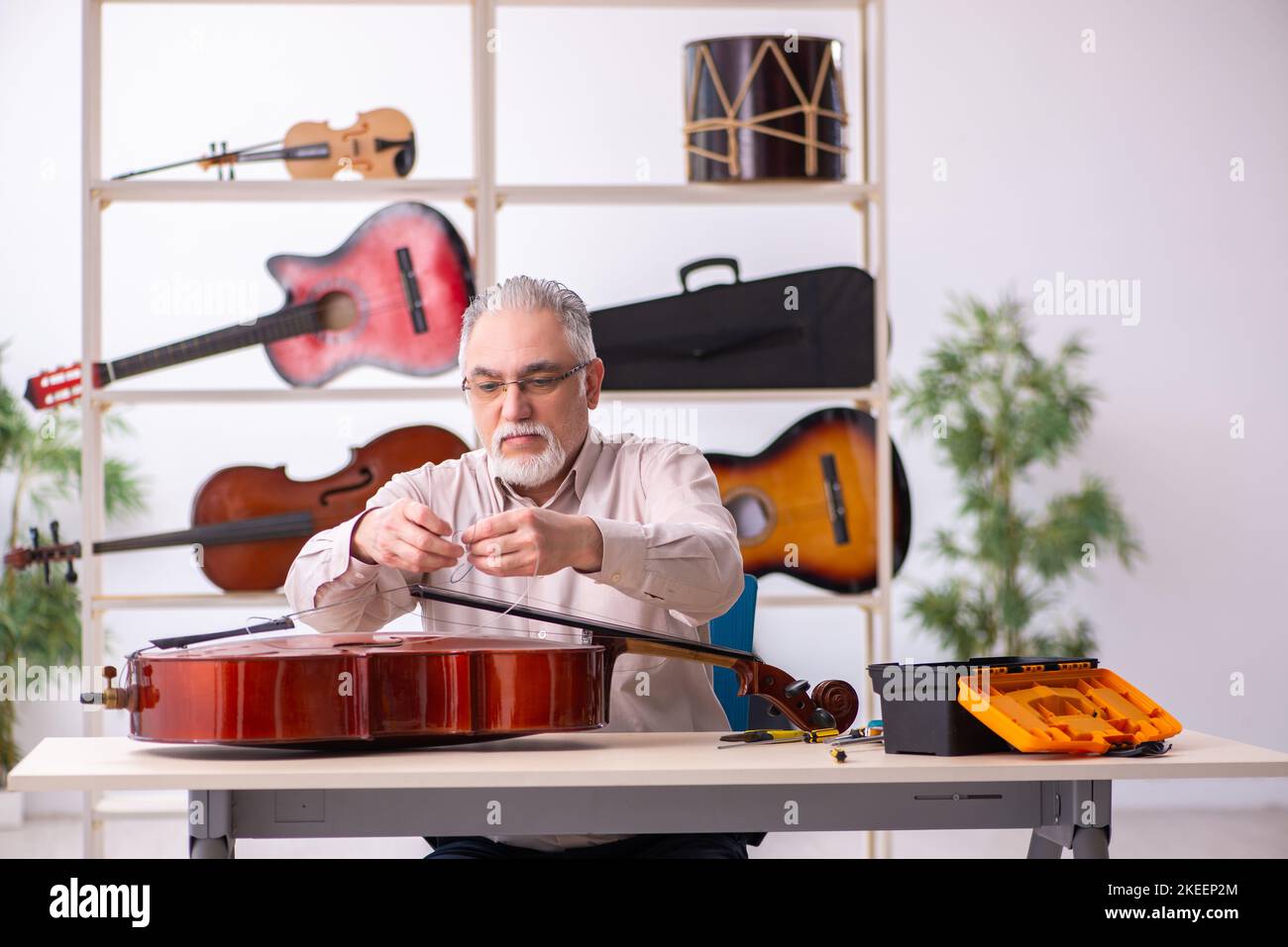 Old repairman repairing musical instruments at workplace Stock Photo ...