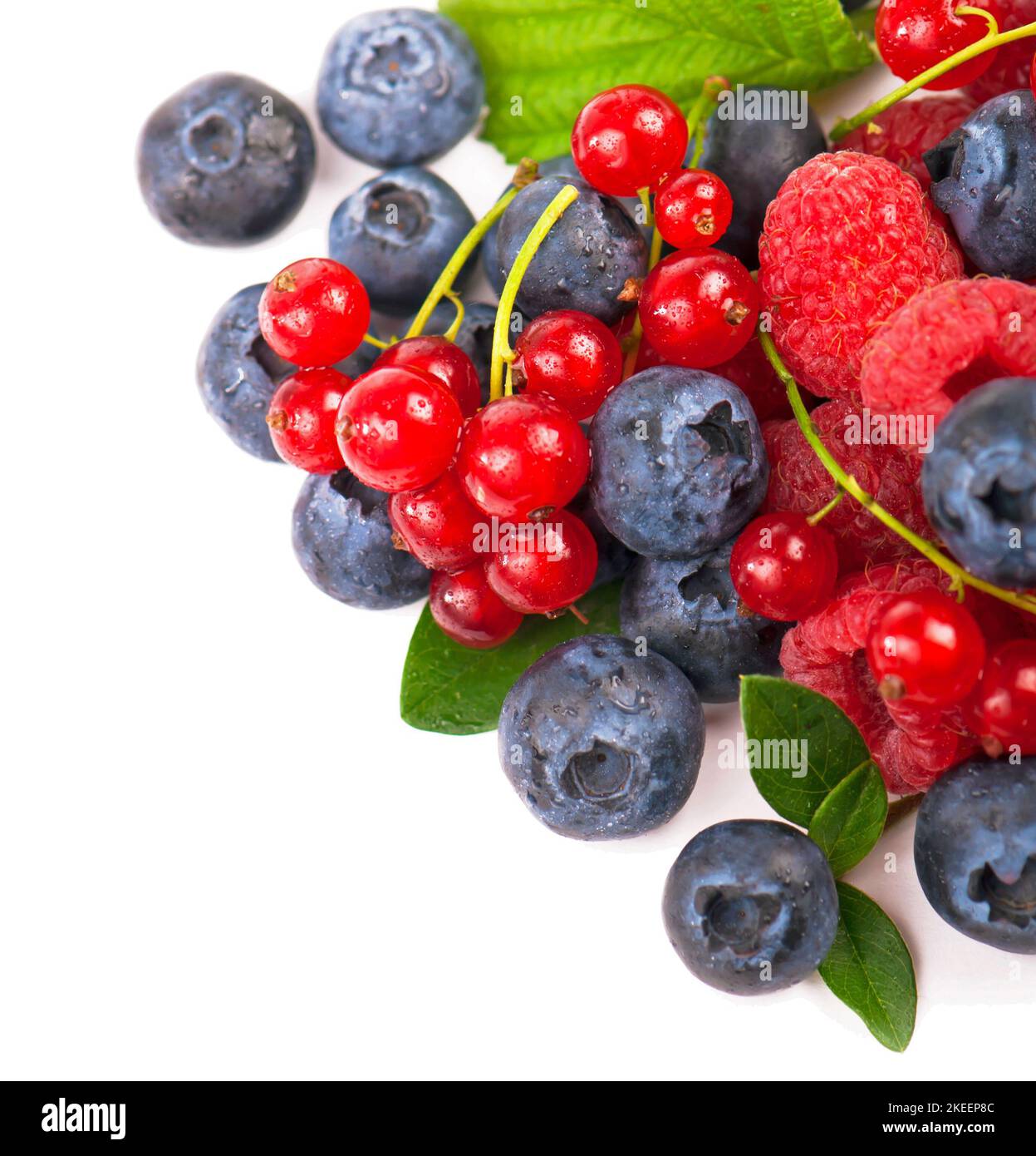 Handful of berries on a white background Stock Photo - Alamy