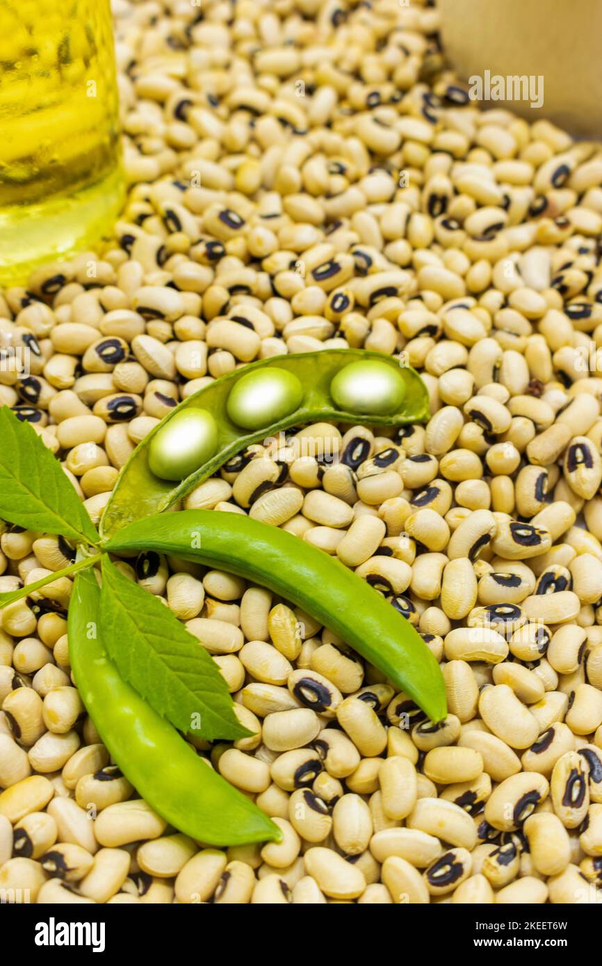 Planted soybeans hi-res stock photography and images - Alamy