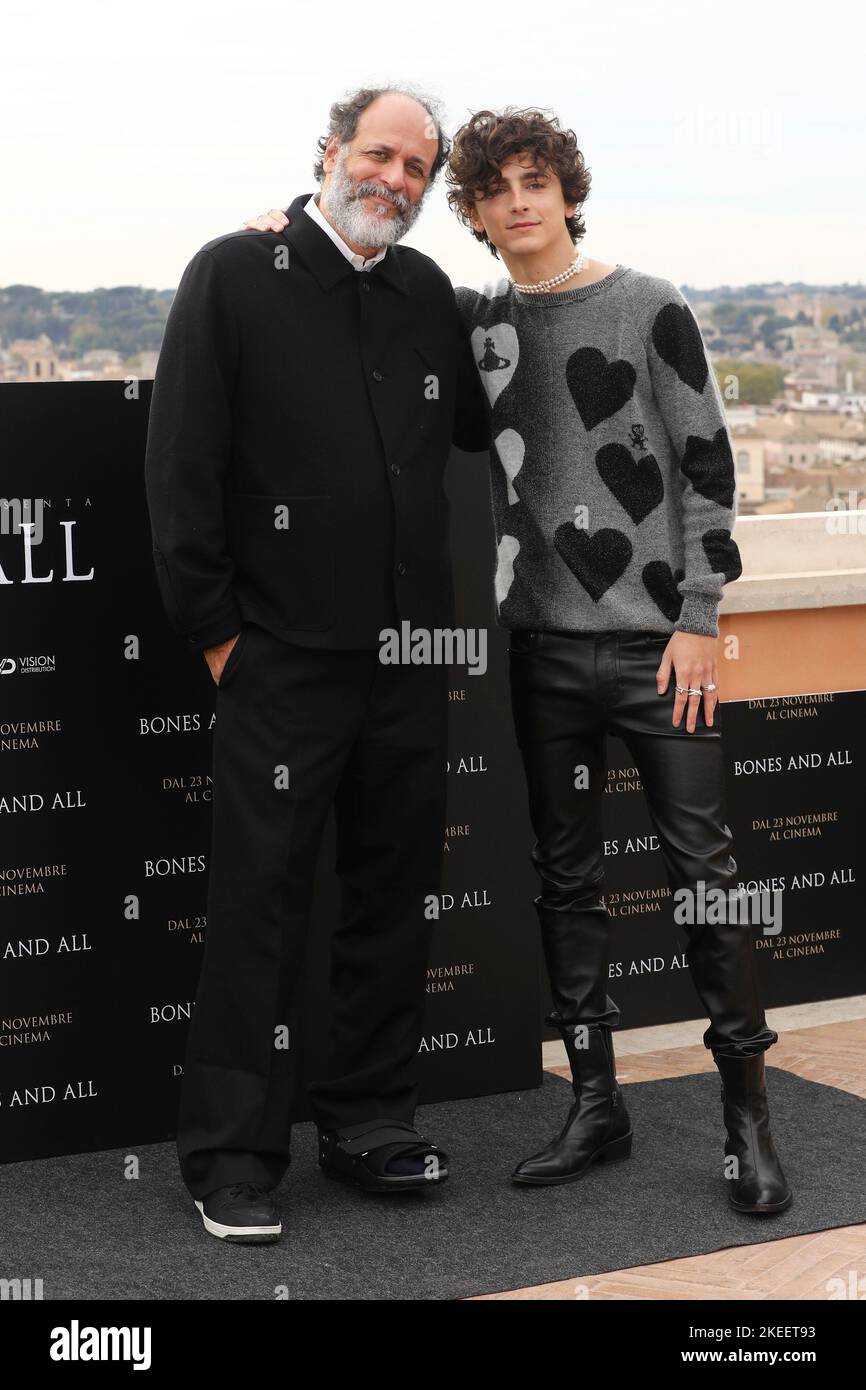 Rome, Italy. 12th Nov, 2022. Rome, hotel De la Ville, photocall film "Bones and all". Pictured ...