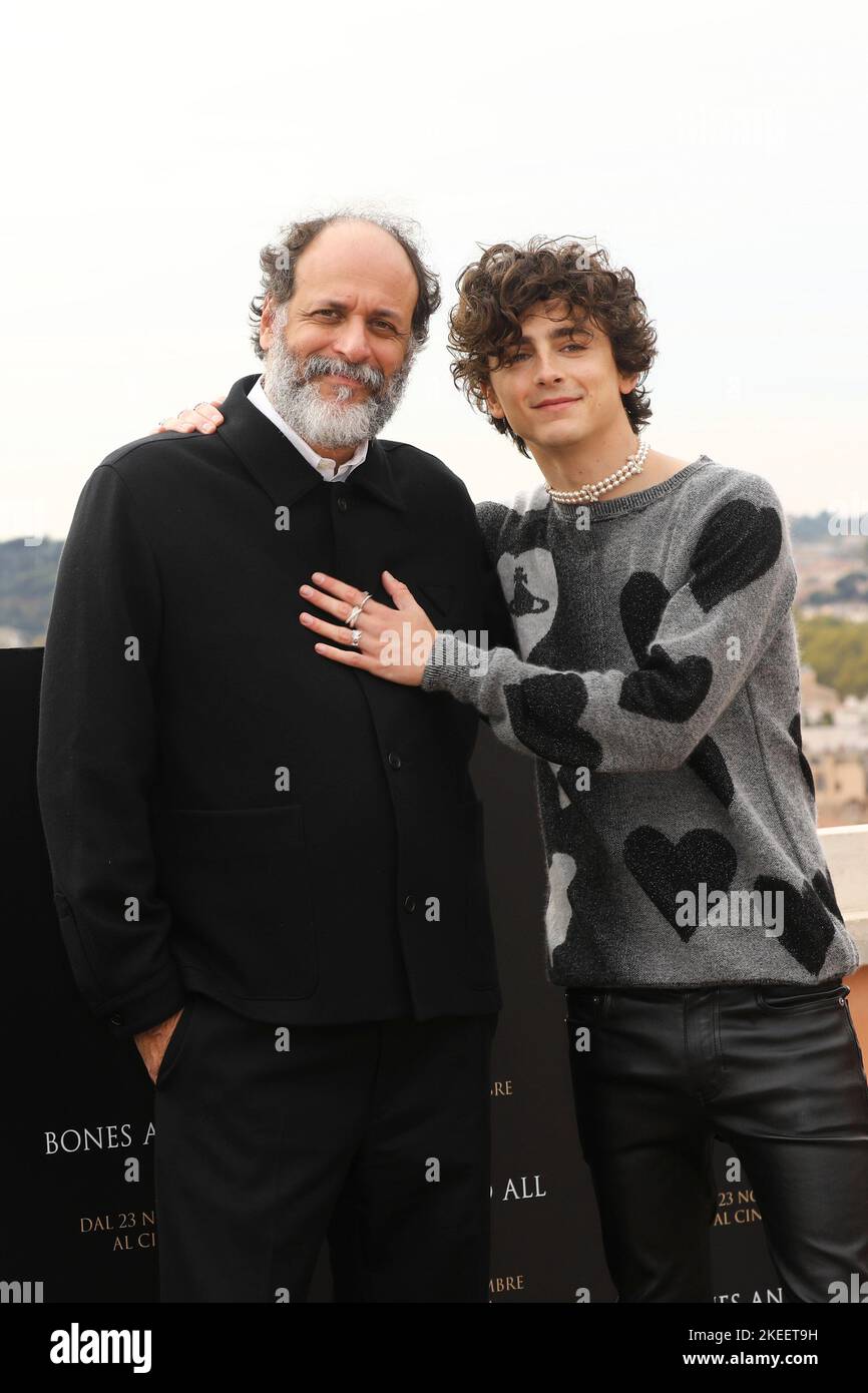 Rome, Italy. 12th Nov, 2022. Rome, hotel De la Ville, photocall film "Bones and all". Pictured ...