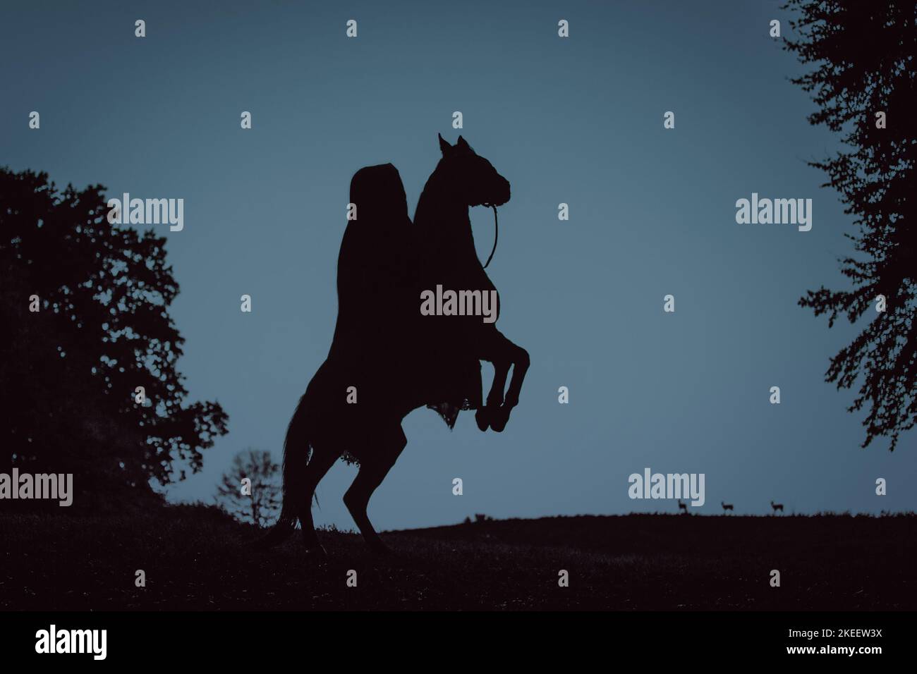 Nazgul lord of the rings hi-res stock photography and images - Alamy